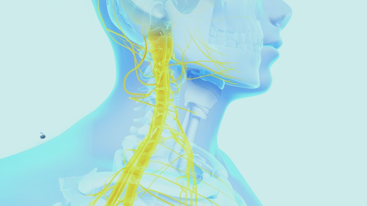 Tri Hita Karana: Meaning, Pillars, and Modern-Day Practice